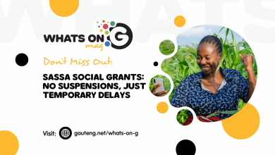 Social Grants Review Process Explained: Delays, Not Suspensions - Whats ...