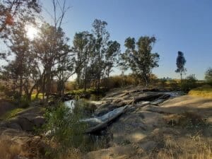 Modderfontein Nature Reserve - Gauteng