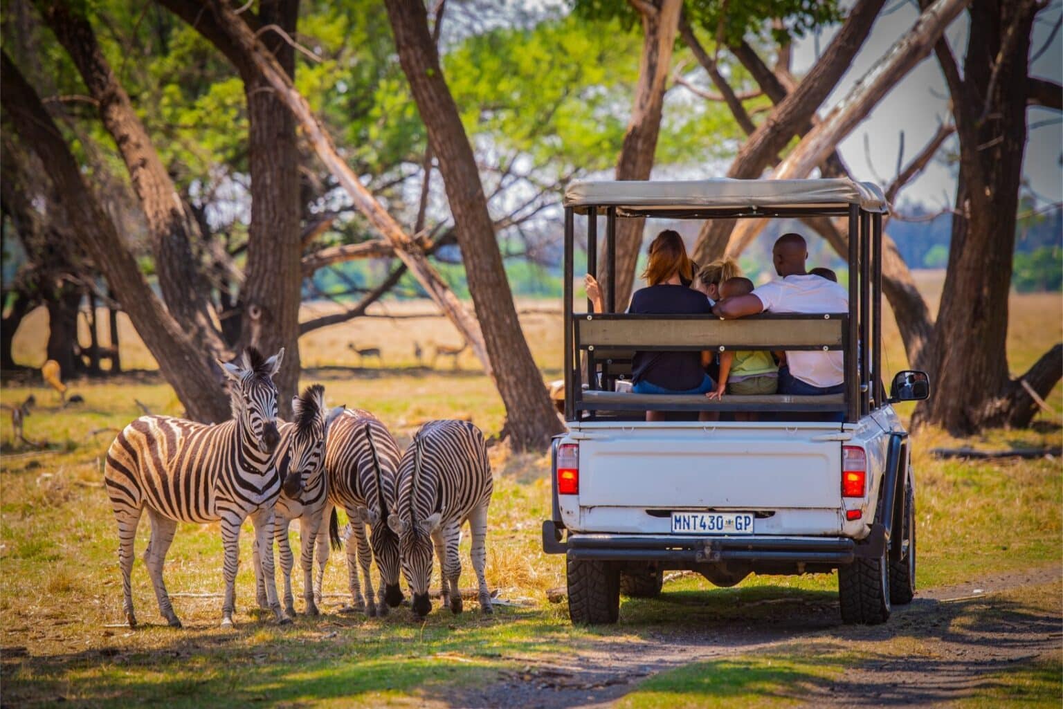 Emerald Resort Animal World Game Park - Gauteng